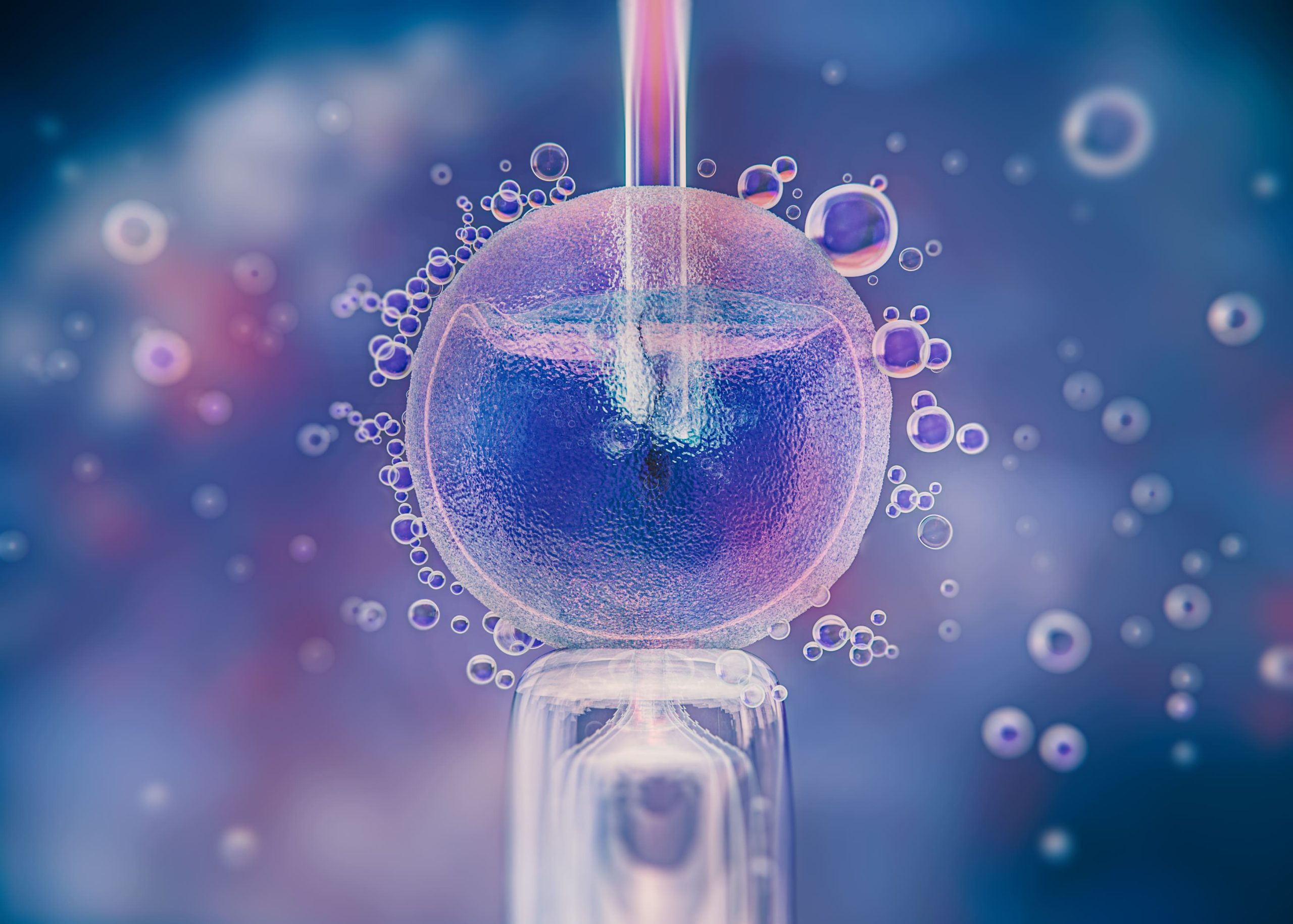 How does Intracytoplasmic Sperm Injection Treatment Work?