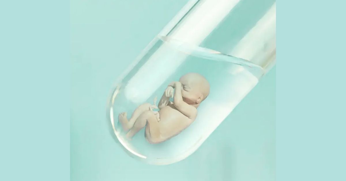 Understanding Test Tube Baby Procedures